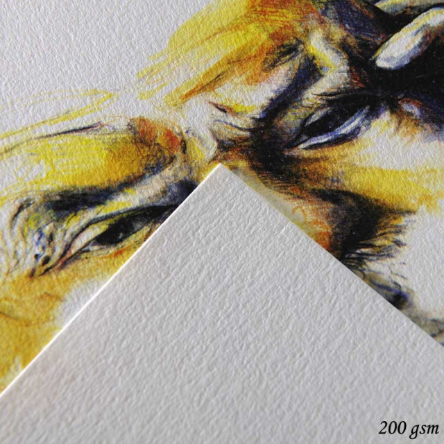 Canson XL Mix-Media 300g A4 | Pen Store
